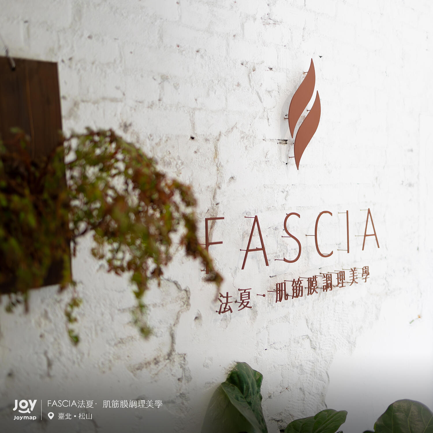 【台北│Fascia法夏·肌筋膜調理美學】精準打擊腰痠背痛的救星，專業筋膜調理體驗 - Joymap 享樂地圖