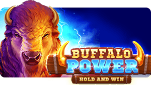Buffalo Power: Hold and Win von Playson | jackpots.ch