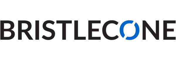 Jubilant Consulting | Technology Simplified