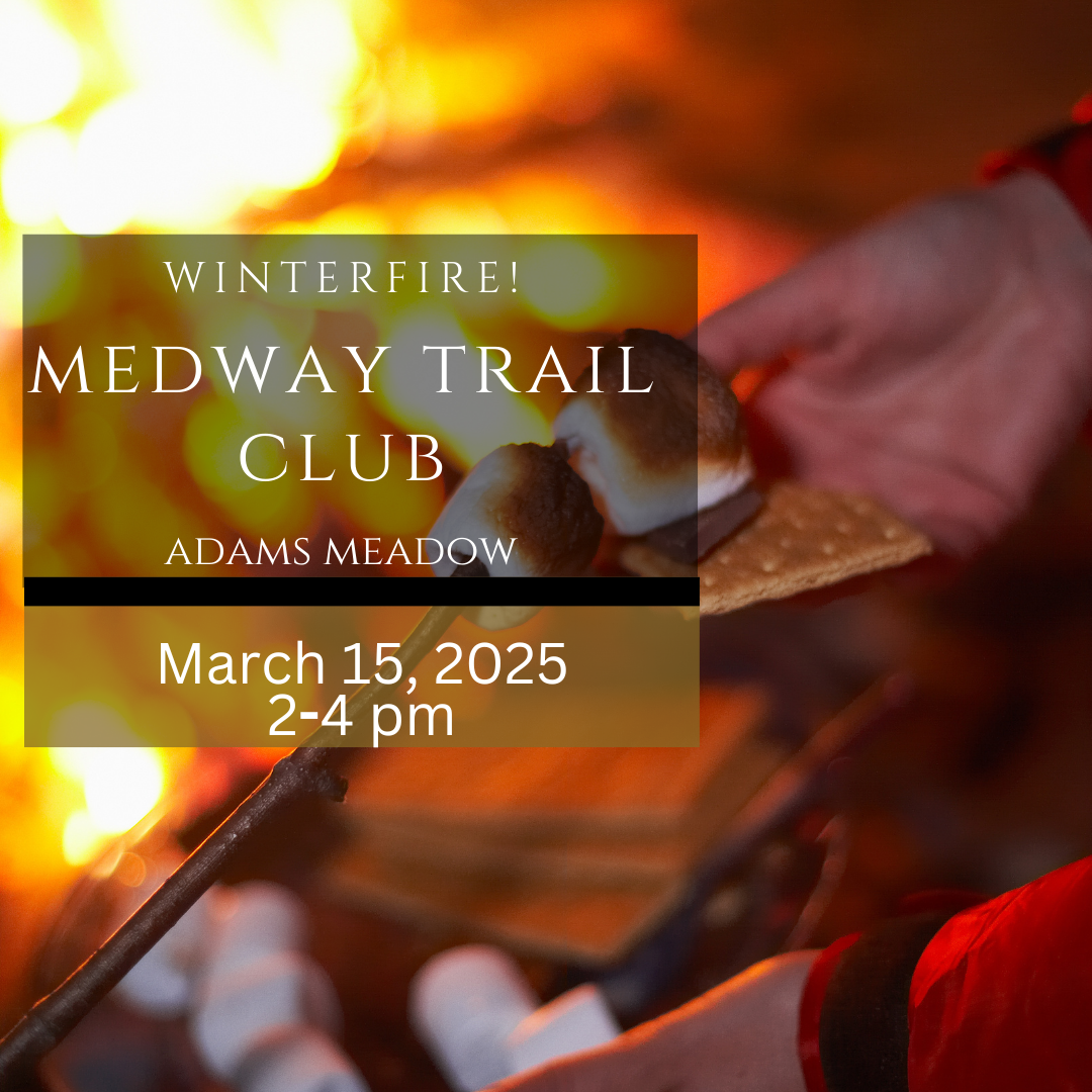 Winterfire | Town of Medway
