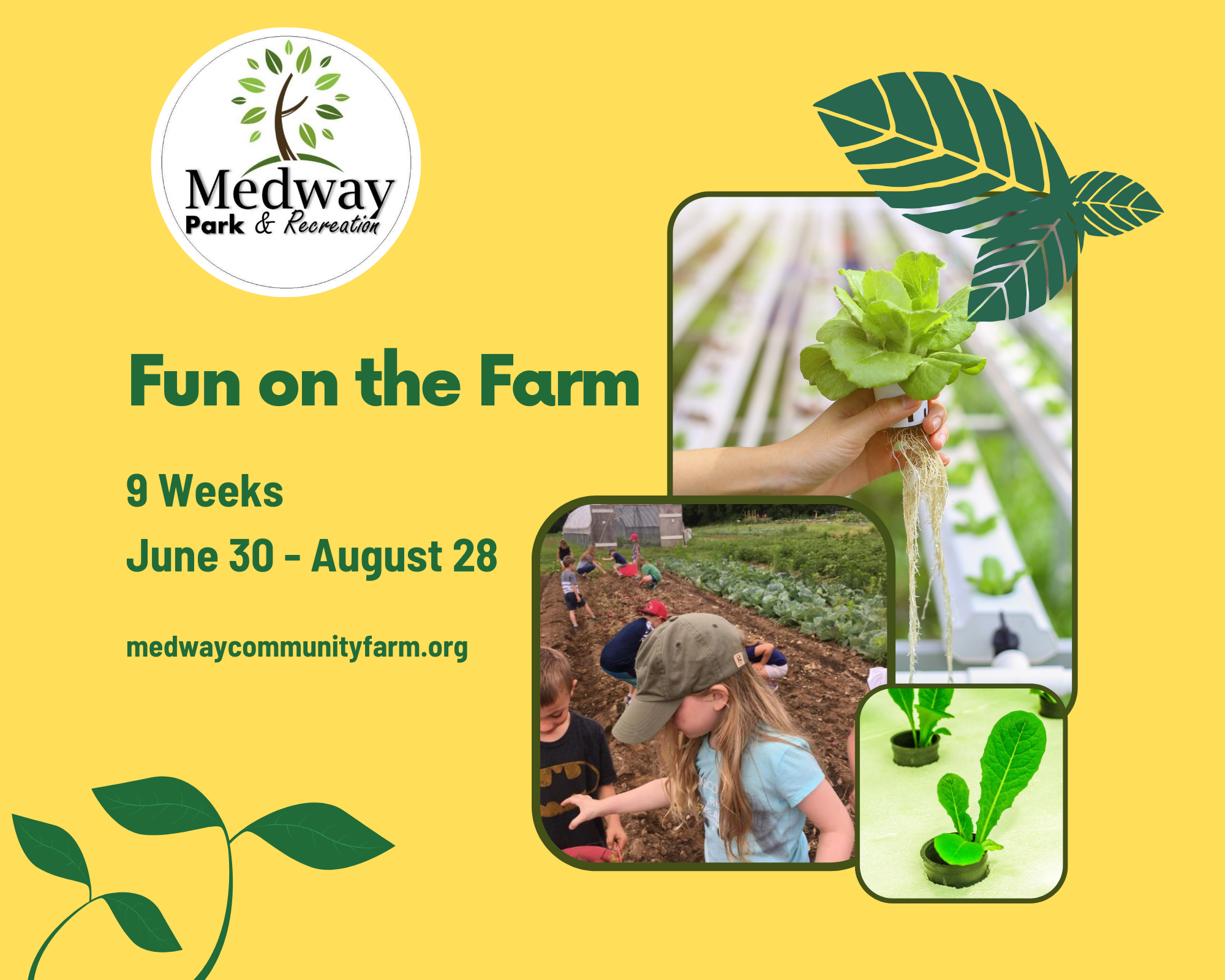 Fun on the Farm | Town of Medway