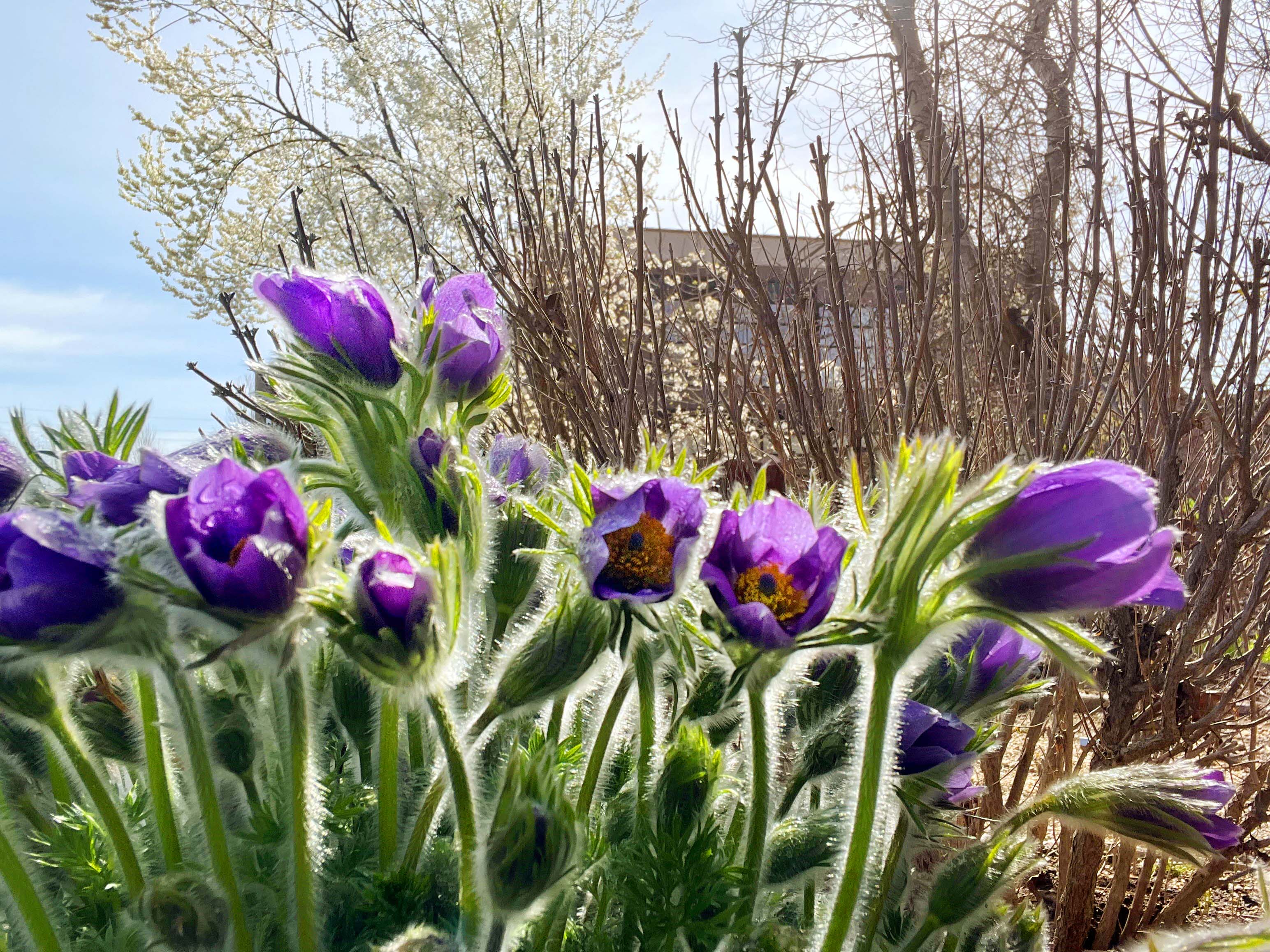 Noticing Requirements | City Of Garden City