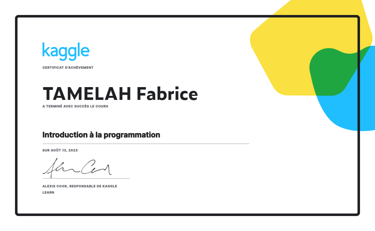 TAMELAH Fabrice completed the Intro to Programming course on Kaggle!