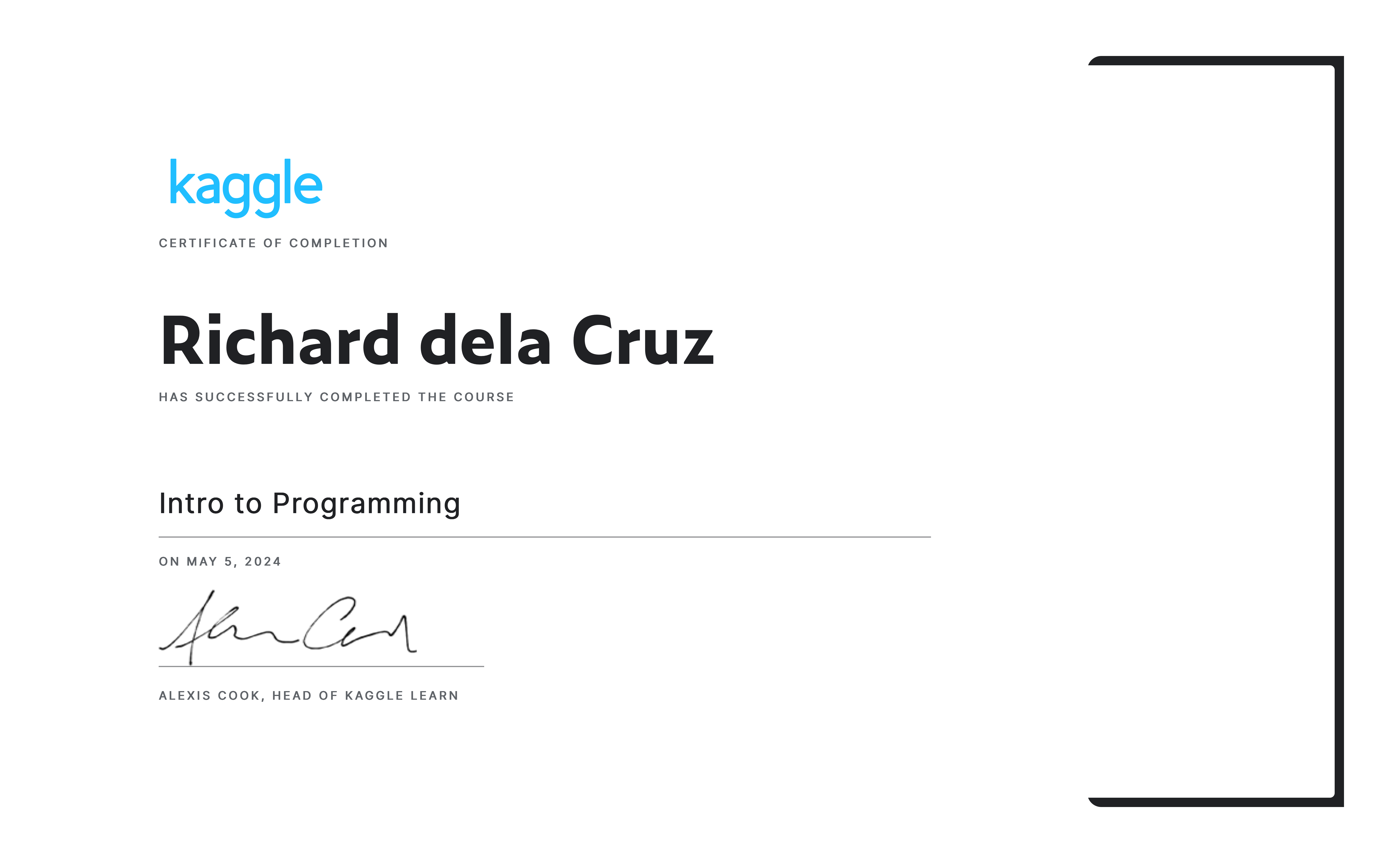 Richard dela Cruz completed the Intro to Programming course on Kaggle!
