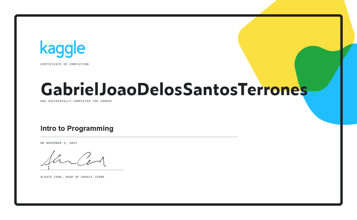 GabrielJoaoDelosSantosTerrones completed the Intro to Programming ...