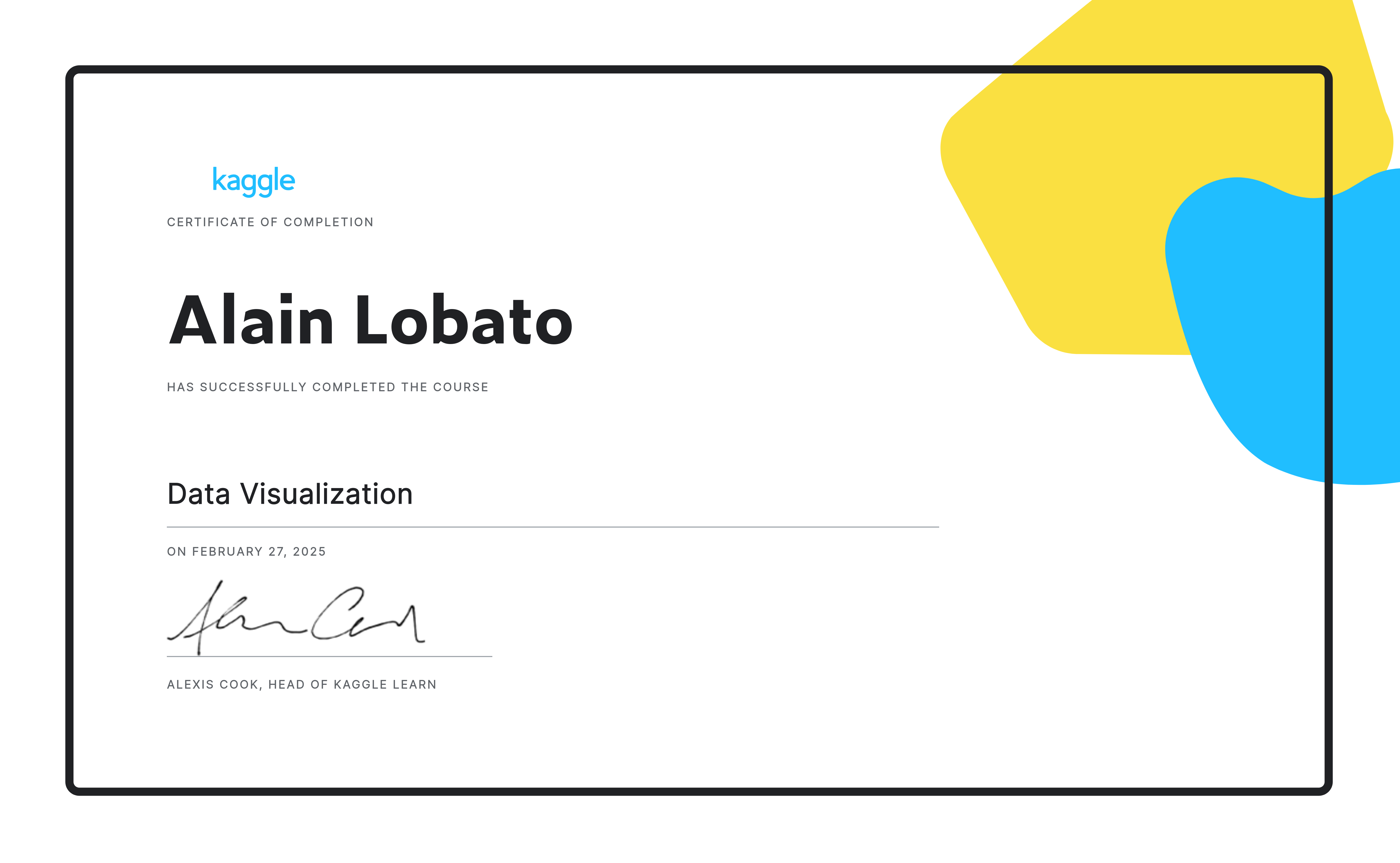 Alain Lobato completed the Data Visualization course on Kaggle!