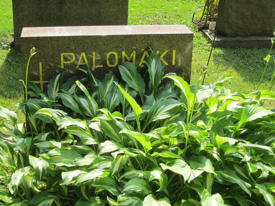 Eeva Samulintytär Palomäki (Inkinen) (1899 - 1988) - Genealogy