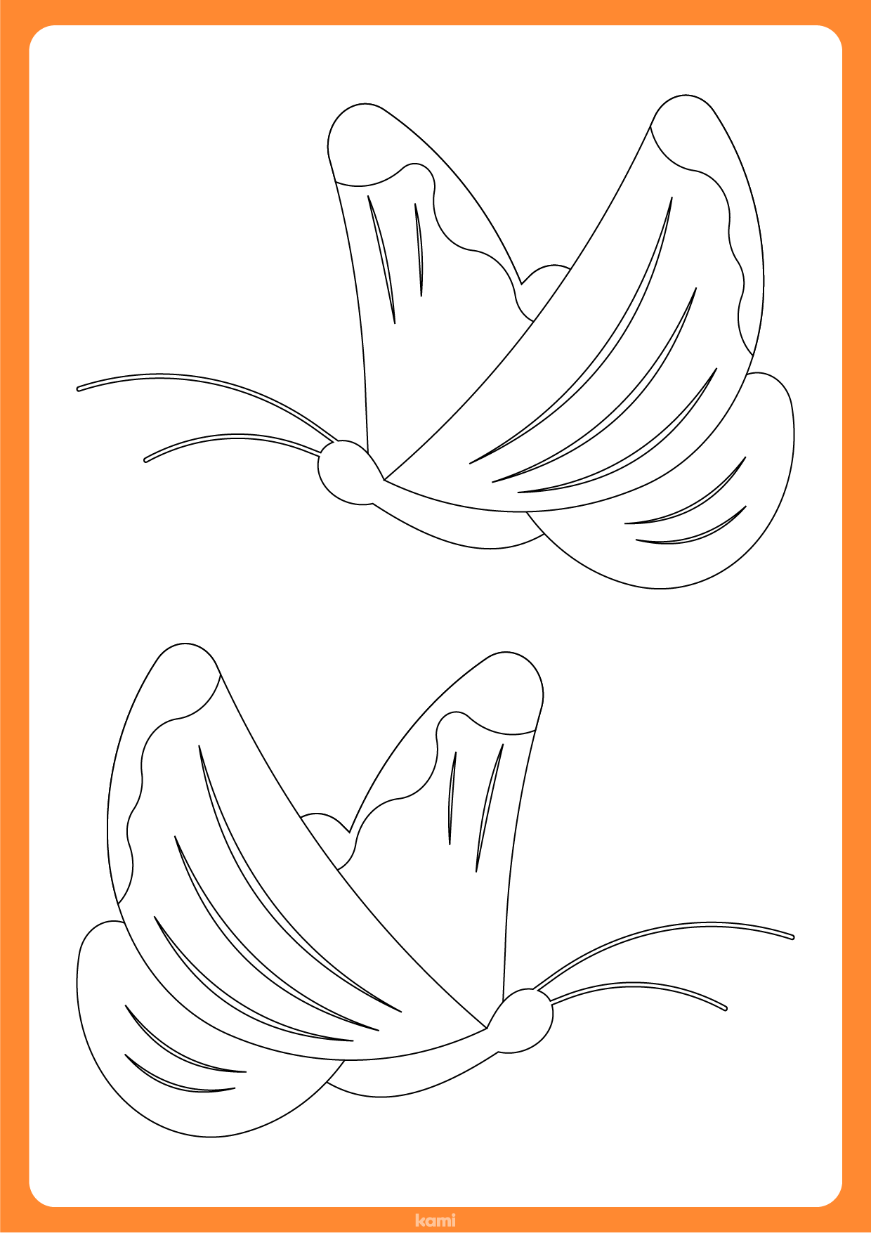 Two Butterflies Template for Teachers | Perfect for grades 1st, 2nd, K ...