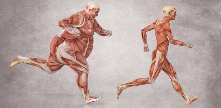 Kropsidealer gennem tiden - Se evolutionen af den perfekte krop