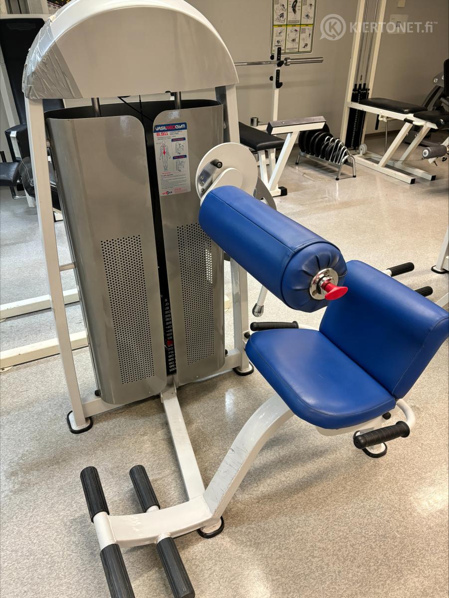 Myydään selkälaite (eli lower back machine) – Kiertonet.fi