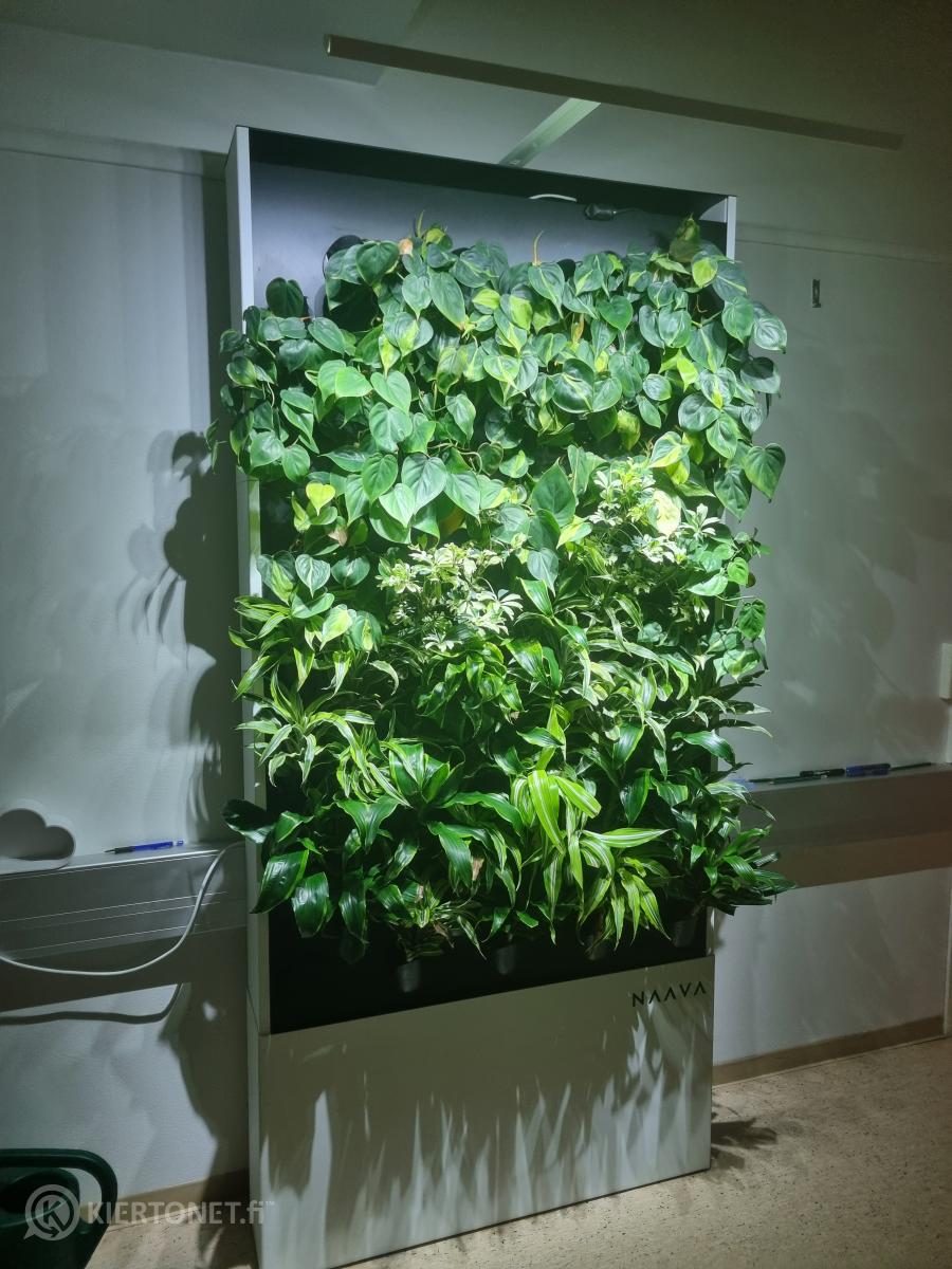 Naava-viherseinät 2 kpl – Kiertonet.fi