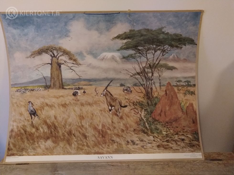 Opetustaulu Savanni – Kiertonet.fi