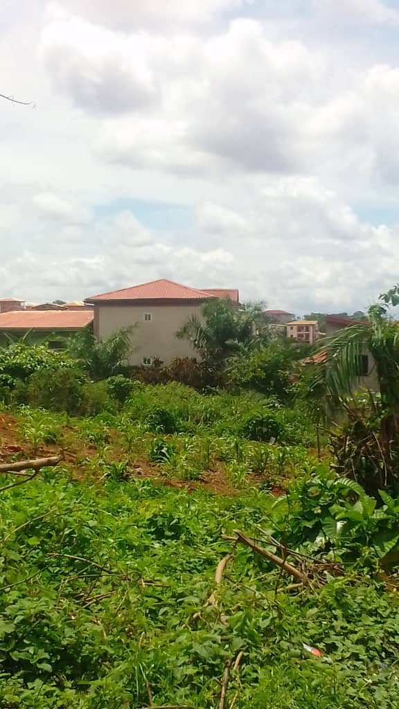 Land for sale at Yaoundé, Ngousso - 500 m2 - 12 500 000 FCFA