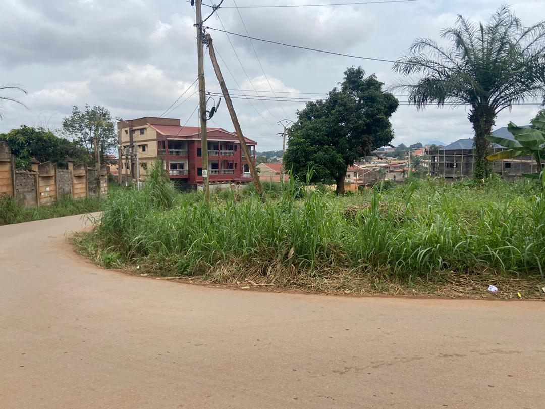 Land for sale at Yaoundé, Mvan - 1000 m2 - 100 000 000 FCFA