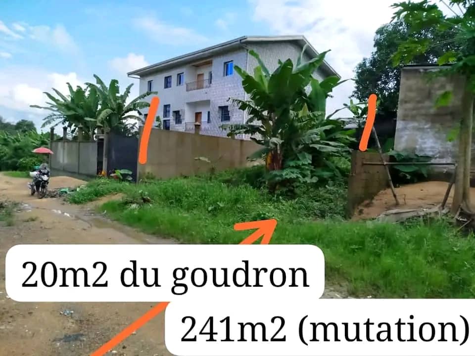 Terrain à vendre à Douala, Ndogpassi I - 241 m2 - 10 845 000 FCFA