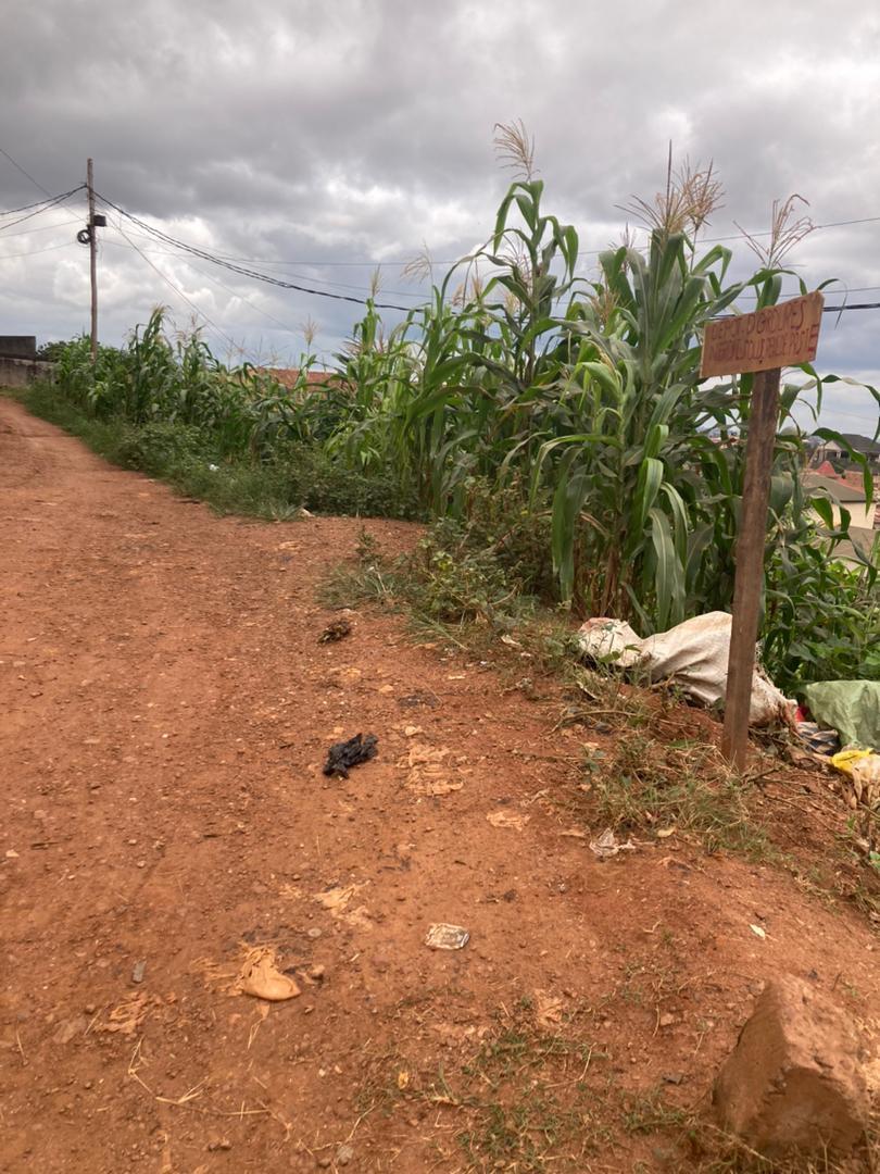 Terrain à vendre à Yaoundé, Ngousso - 578 m2 - 345 000 000 FCFA