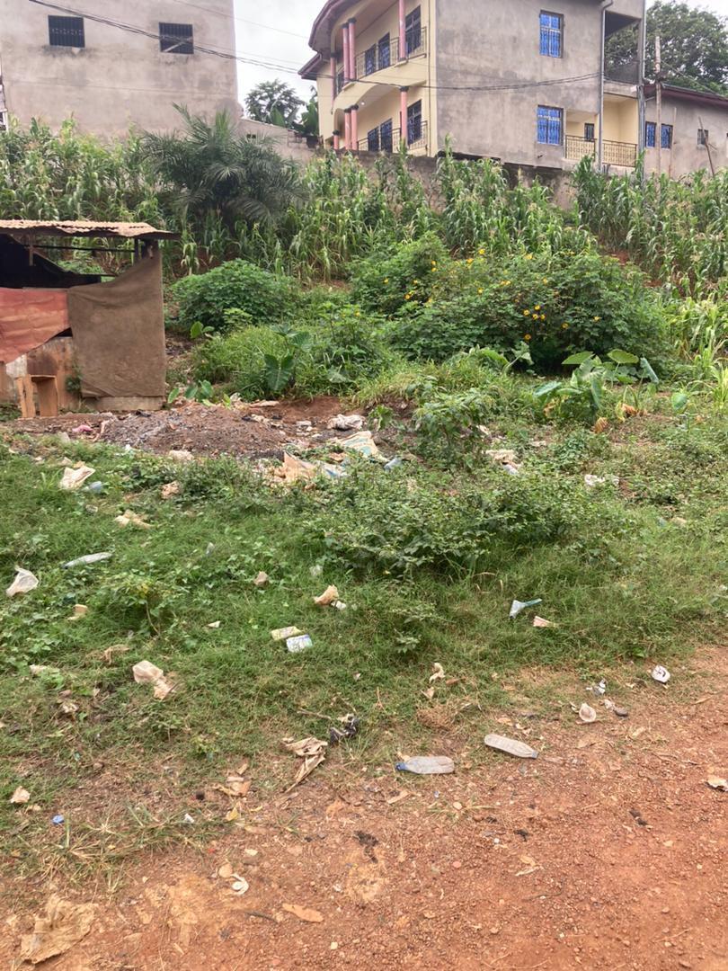 Terrain à vendre à Yaoundé, Ngousso - 578 m2 - 345 000 000 FCFA