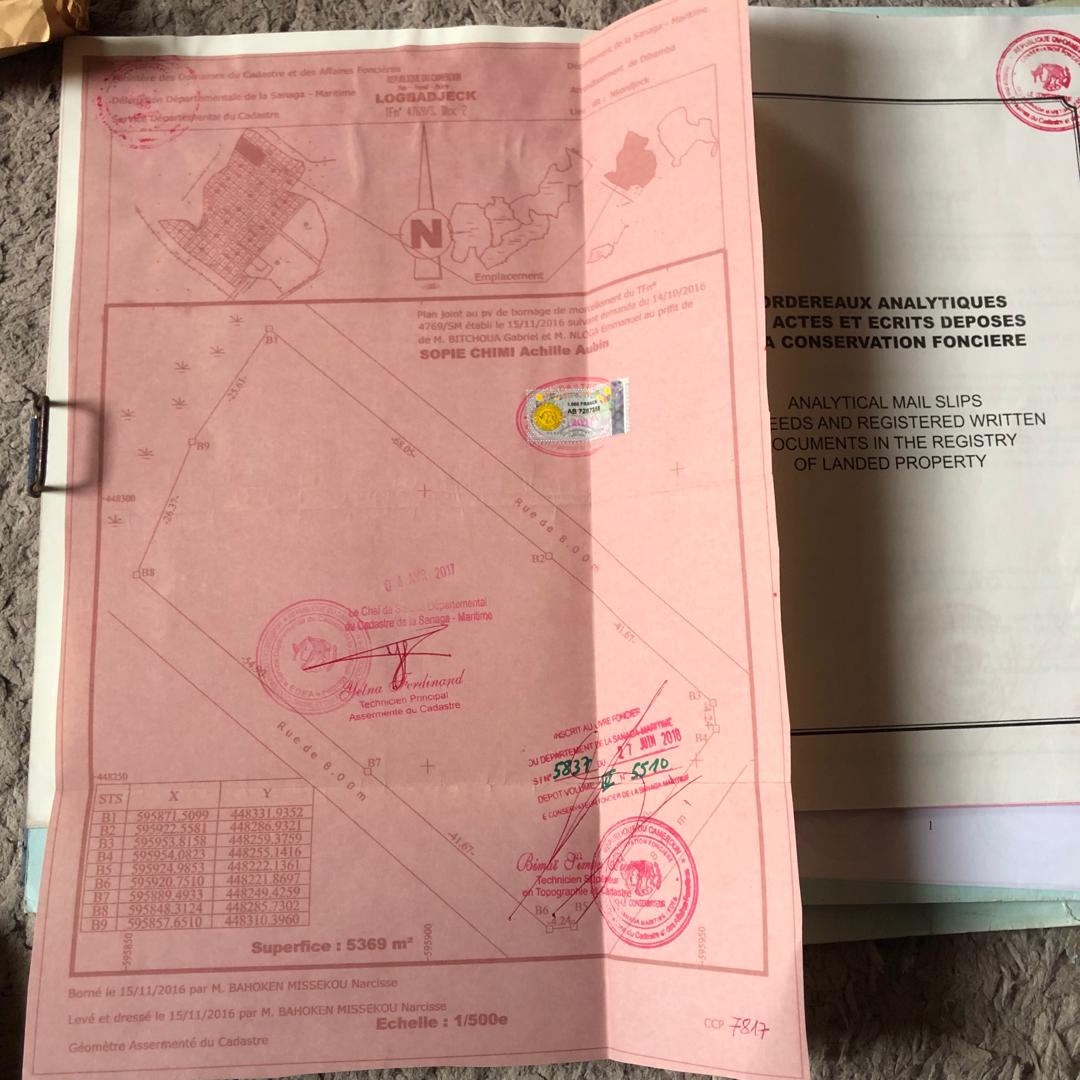 Terrain à vendre à Dibamba, Nkondjock - 5000 m2 - 10 000 000 FCFA