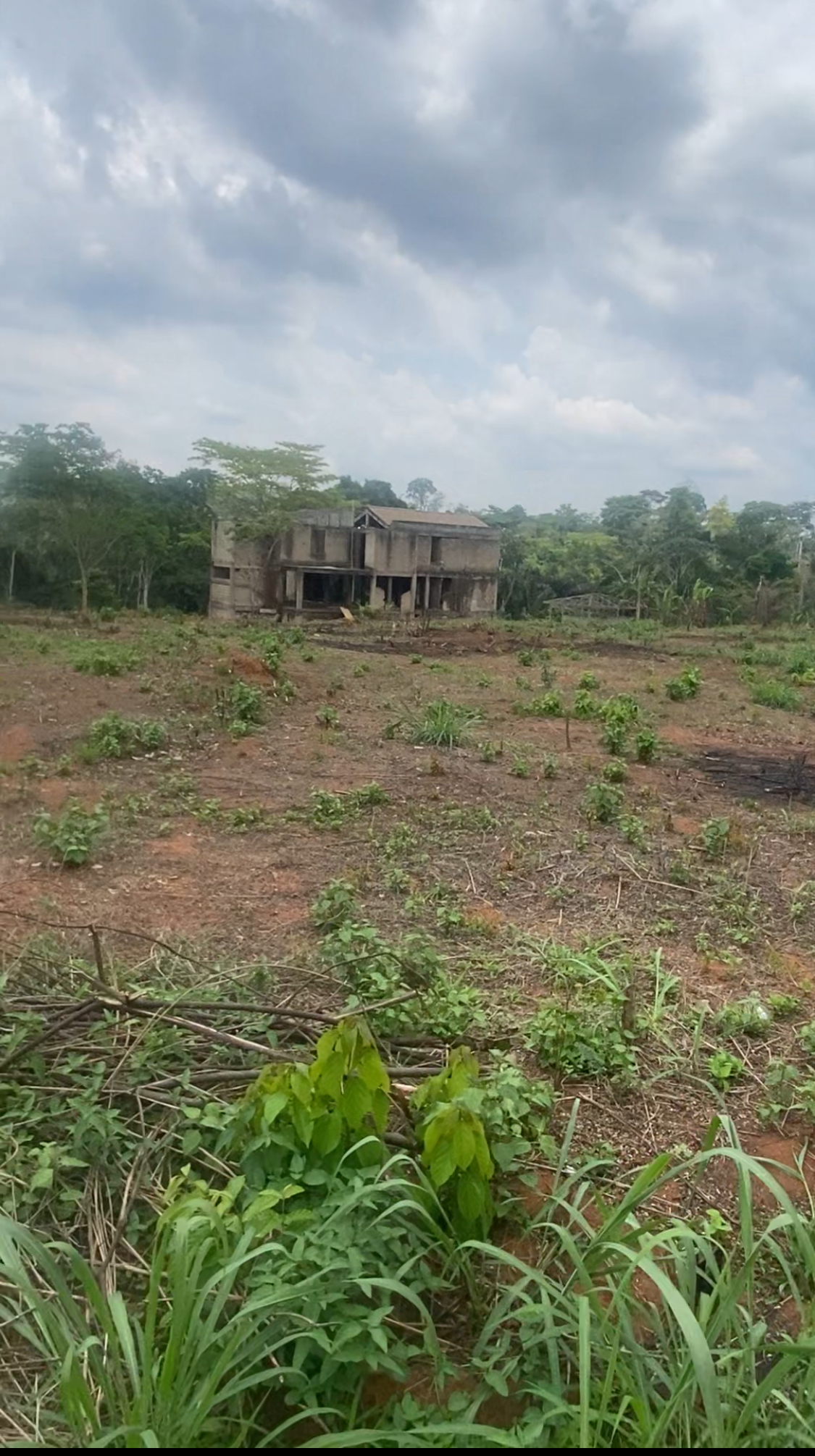 Terrain à vendre à Yaoundé, Mfou - 5000 m2 - 7 500 000 FCFA