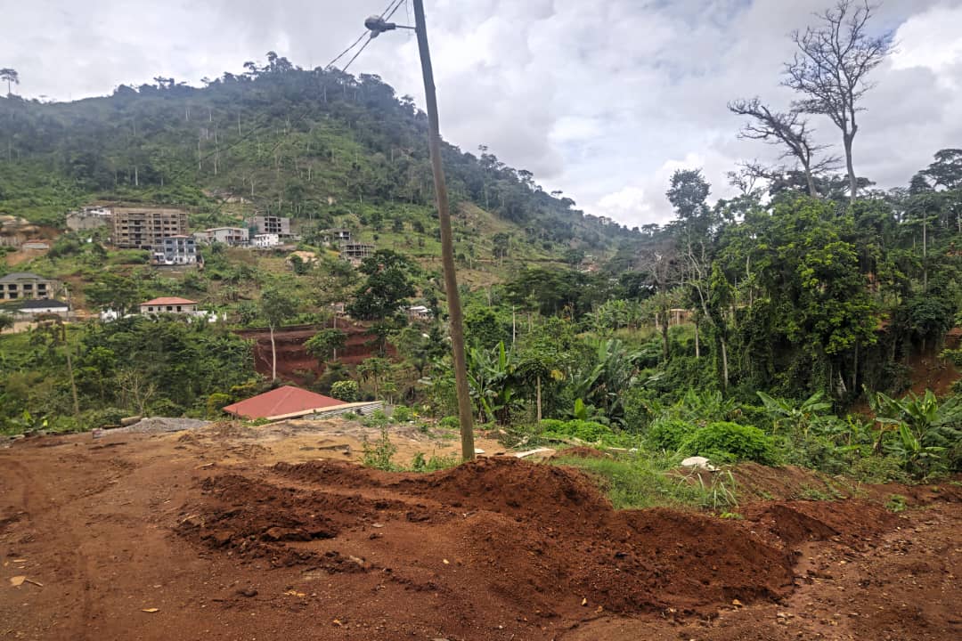 Land for sale at Yaoundé, Fébé-Village - 5339 m2 - 133 475 000 FCFA