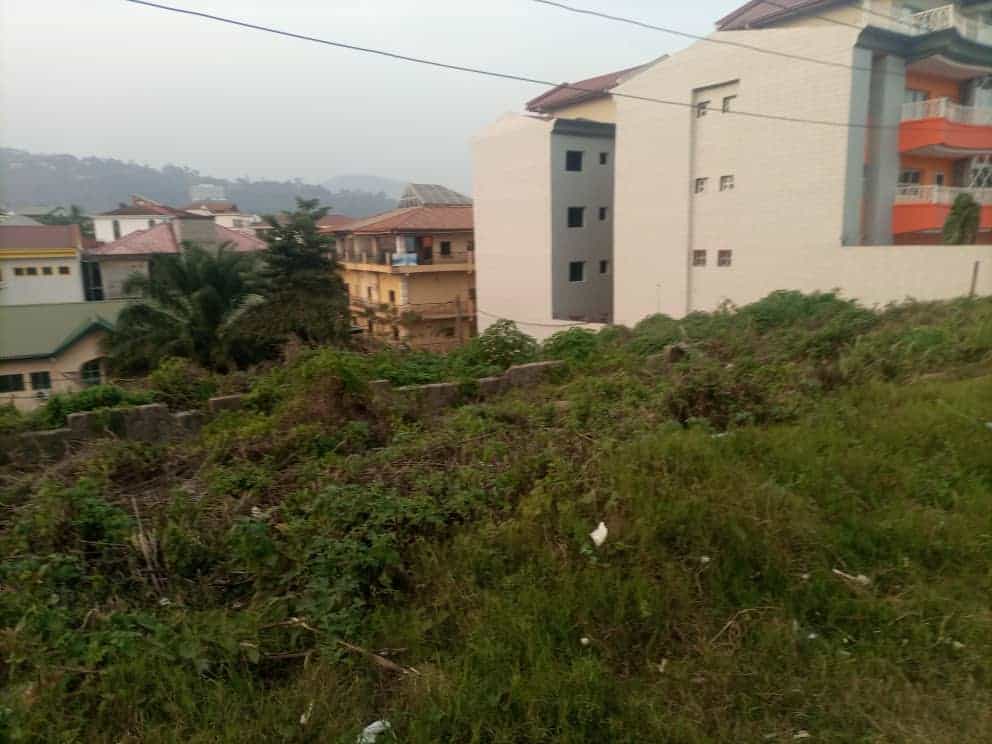 Terrain à vendre à Yaoundé, Bastos - 1500 m2 - 750 000 000 FCFA