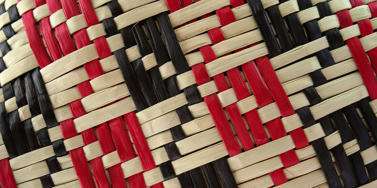 Taonga Trail - The Base