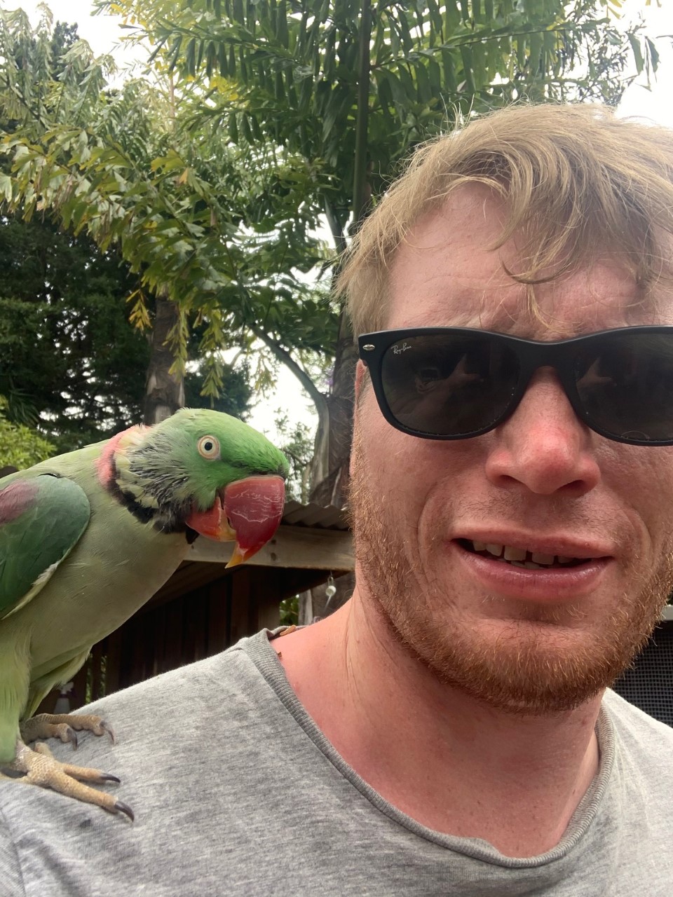 THE BATMAN | MOVIE REVIEW | NORTHLANDS - Blog - Northlands