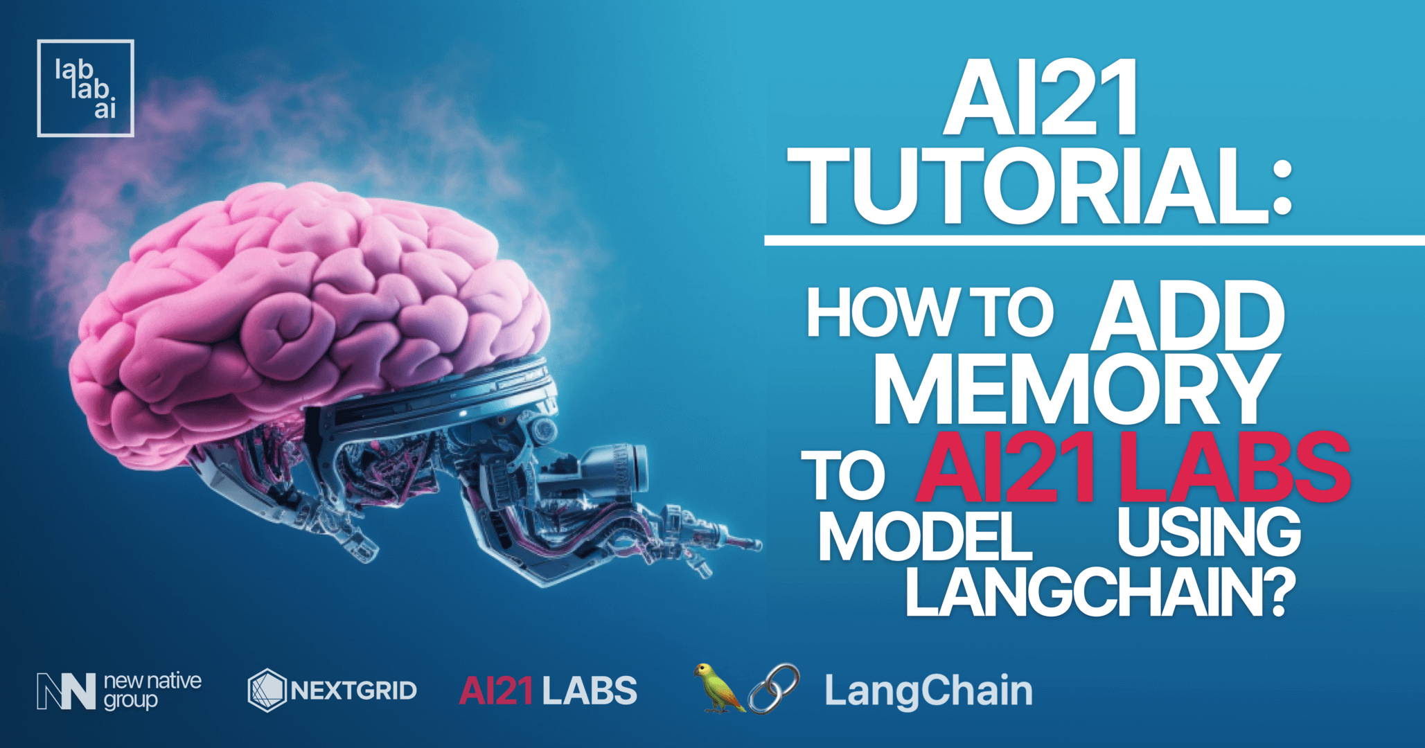 Ai21 Tutorial How To Add Memory To Ai21 Labs Model Using Langchain Tutorial