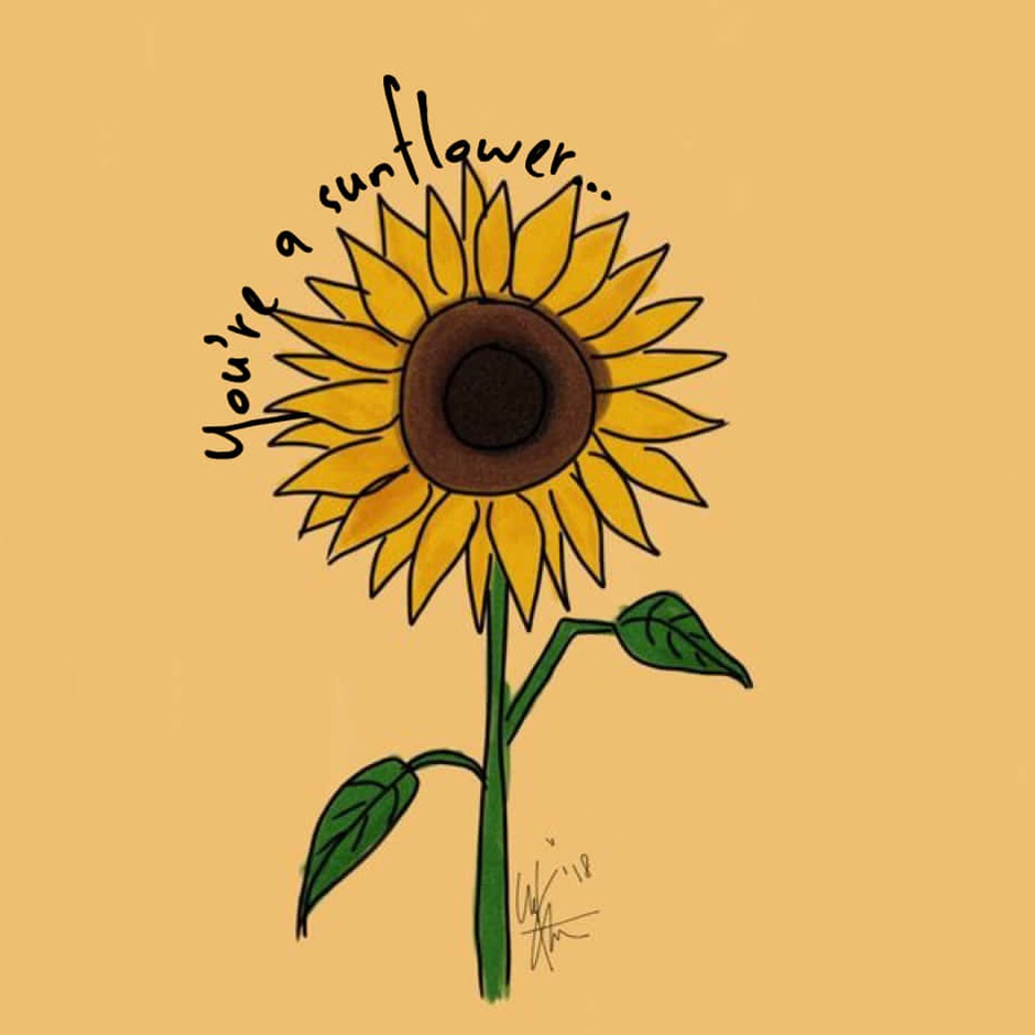 MARIA2468 | Hackathon Competitor Profile