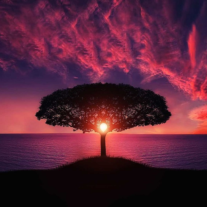 AyeshaMehboob | Hackathon Competitor Profile