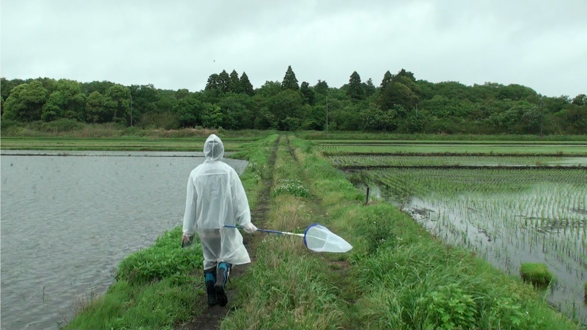 Residents of Fantasy | Labocine