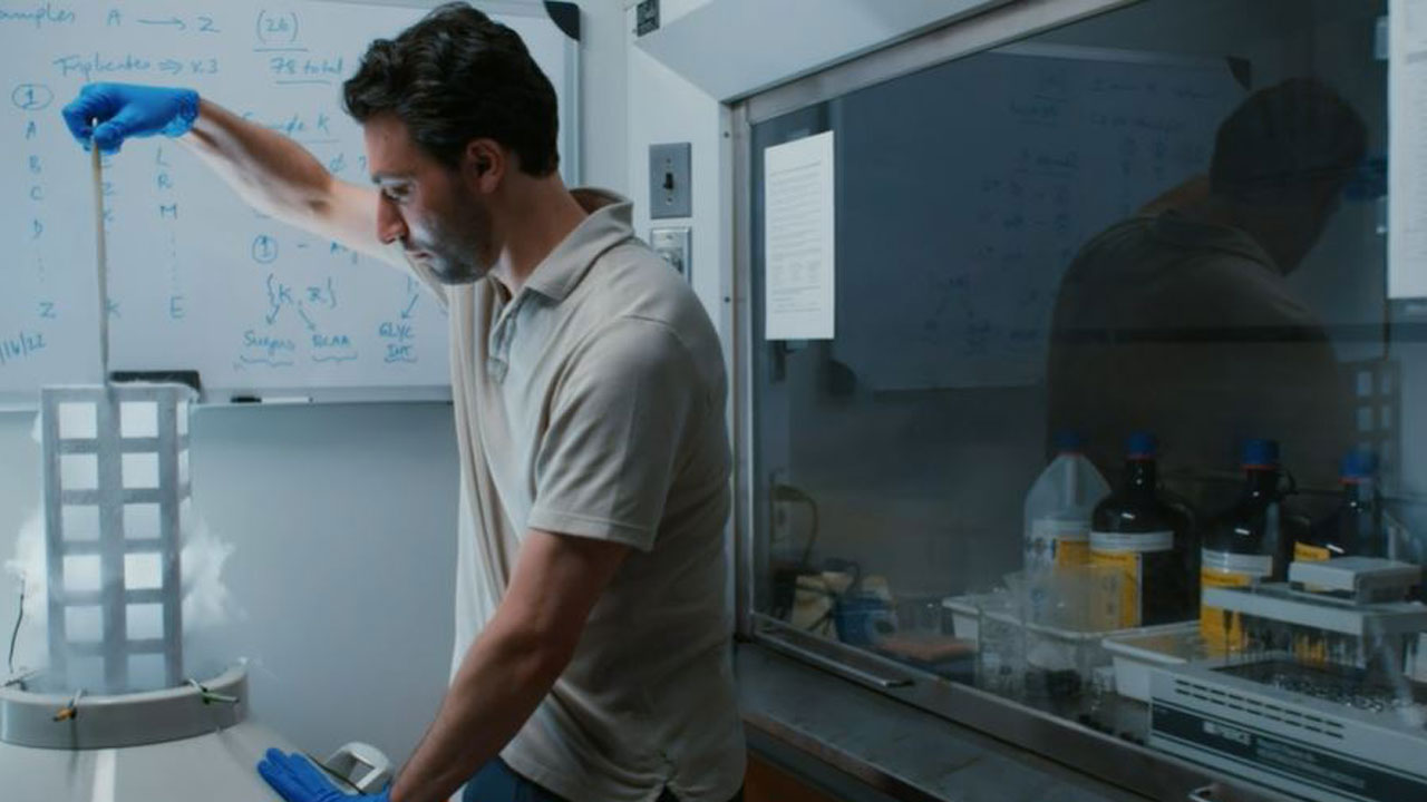 My Last Nerve | Labocine