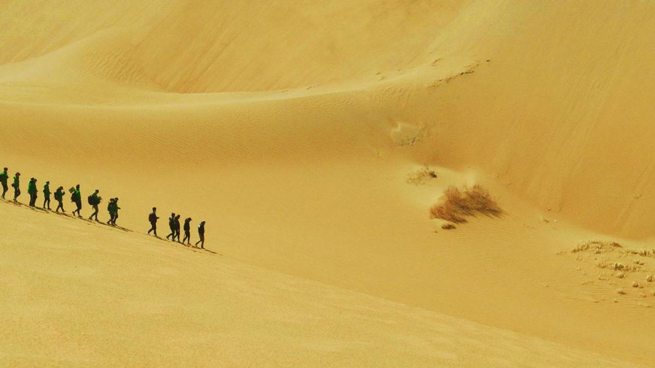 Twig (2024) | Labocine