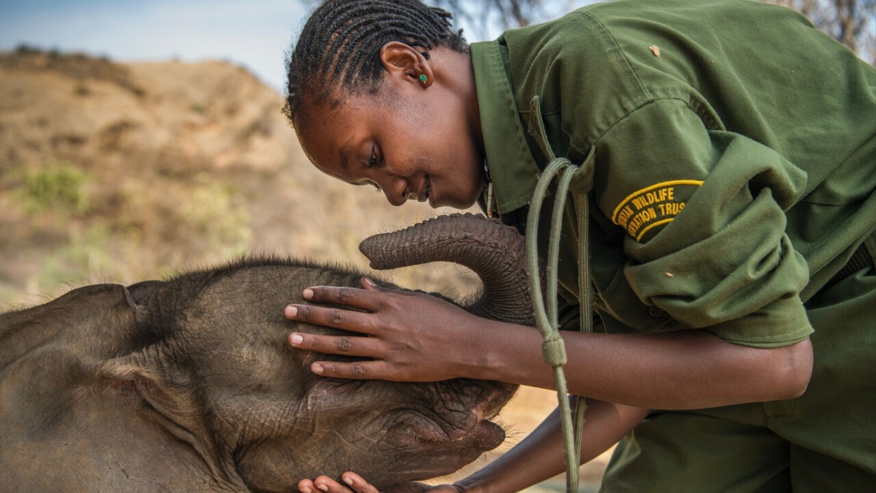 Shaba (2021) | Labocine