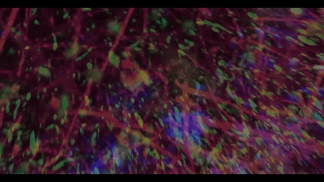 Misplaced in Space | Labocine