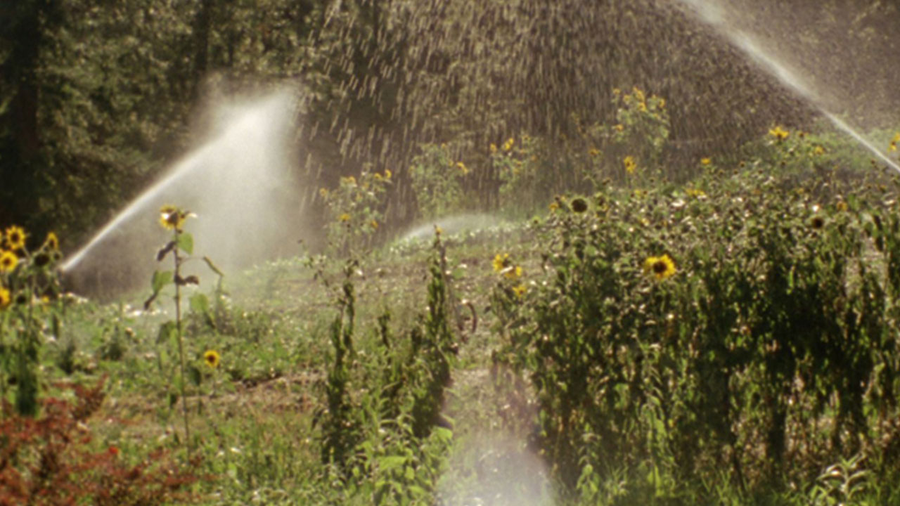 To Taste the Ground | Labocine