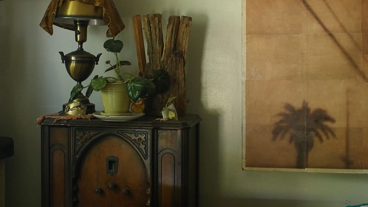 Light Needs | Labocine