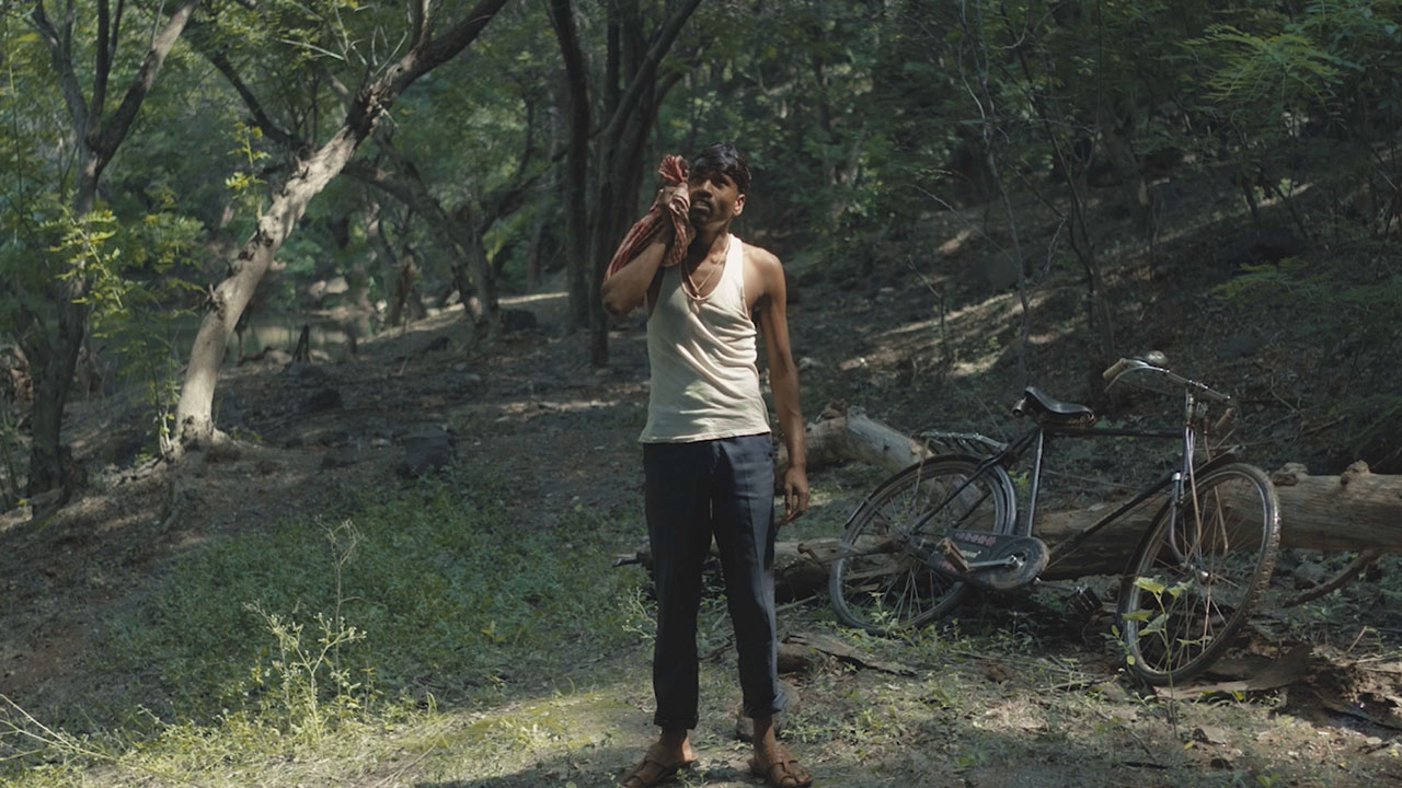 The eclipse (2022) | Labocine