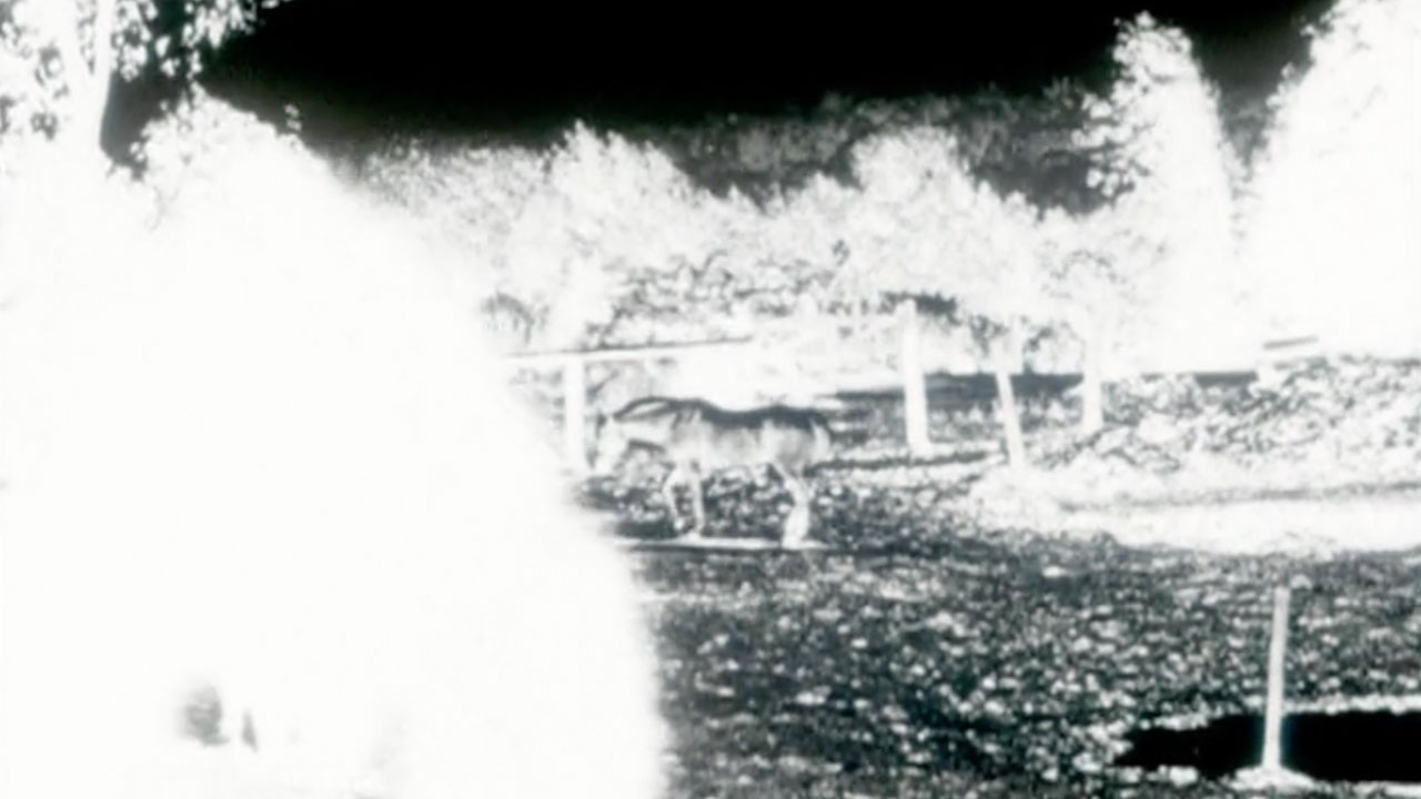 Stories from the Eclipse | Labocine