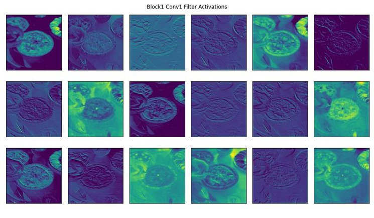 Top 17 convolutional neural network keras in 2022 - EU-Vietnam Business ... Top 17 convolutional neural network keras in 2022 - EU-Vietnam Business ...