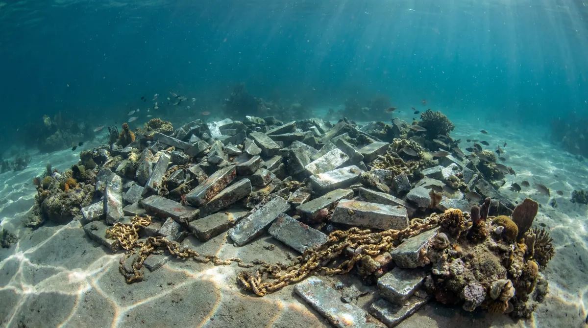 The Atocha Shipwreck: Inside the $450 Million Discovery