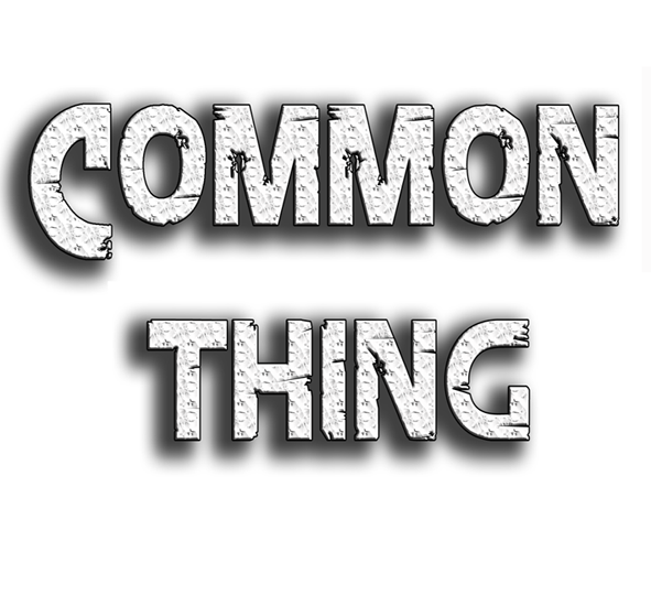 Common Thing, Coverband (Pop, Rock) aus Bergisch Gladbach - Backstage PRO