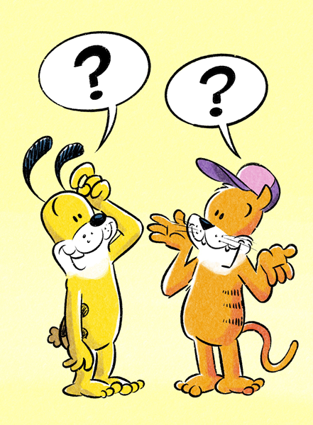 Cat and Dog at the Zoo