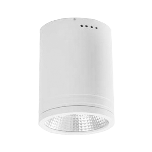 LED Cylindrical Surface Down Light (Elegance Series) | LigLED Malaysia