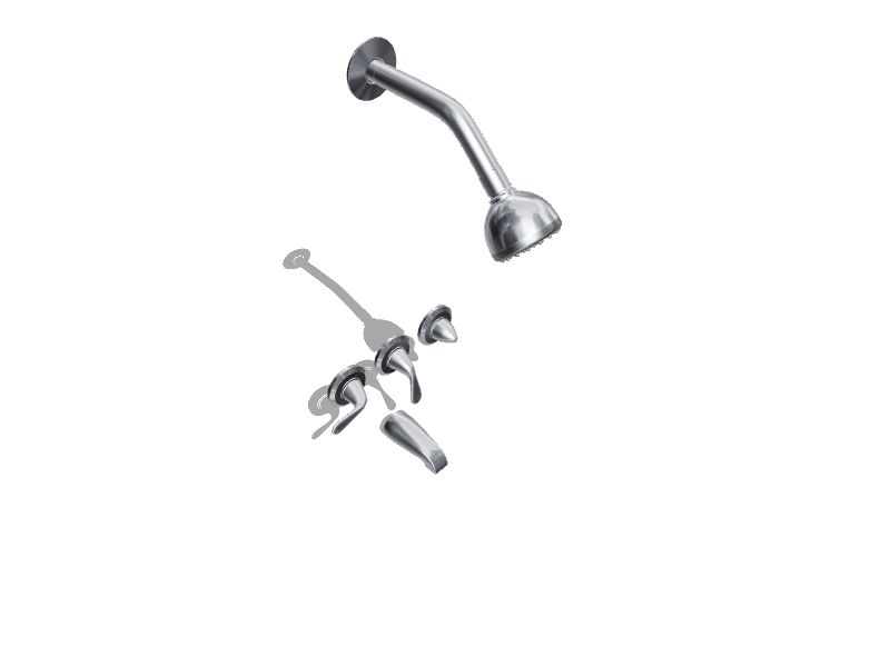 Jacuzzi Polished Chrome 3-handle Single Function Bathtub and Shower ...