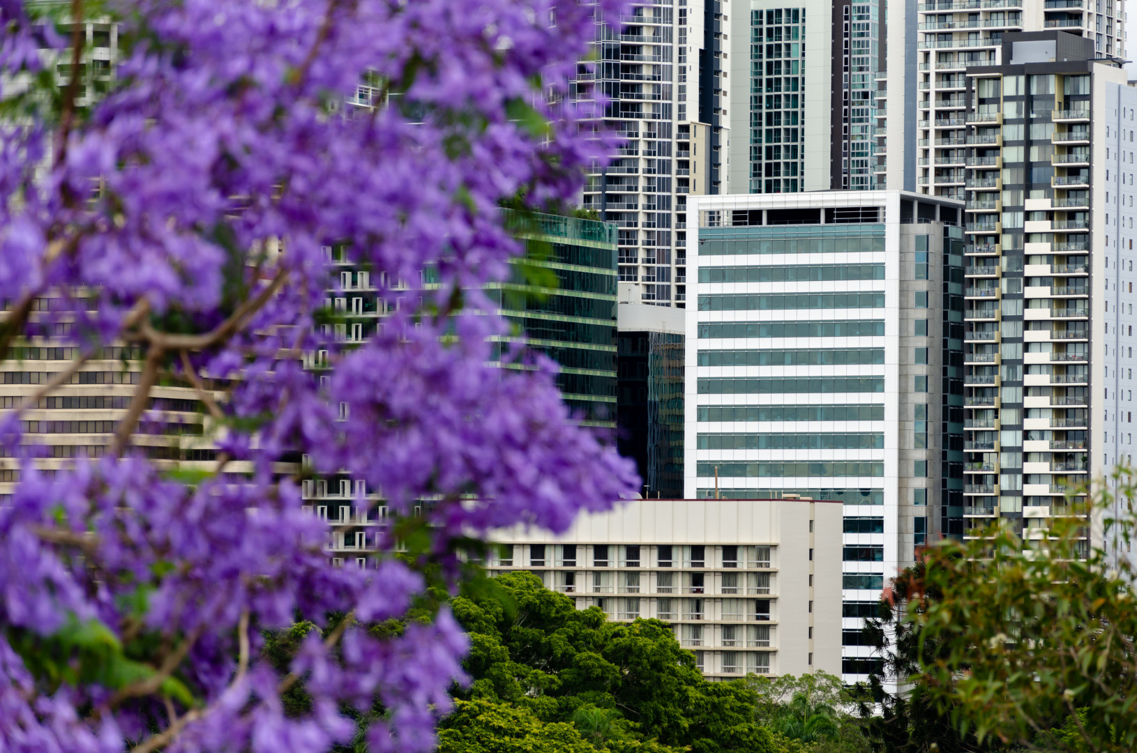 Conveyancing Contract Clauses | Special Conditions