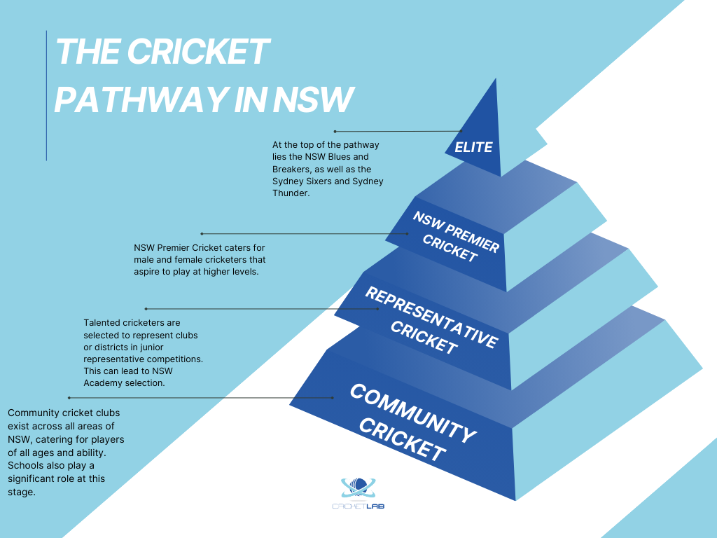 The Cricket Pathway for Junior Players in NSW