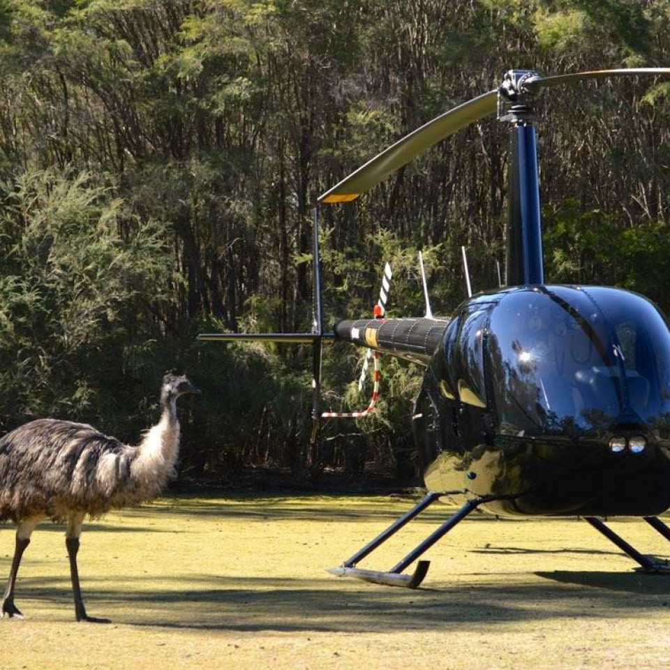 Robinson R44: Single Engine Piston Helicopter at Sydney HeliTours