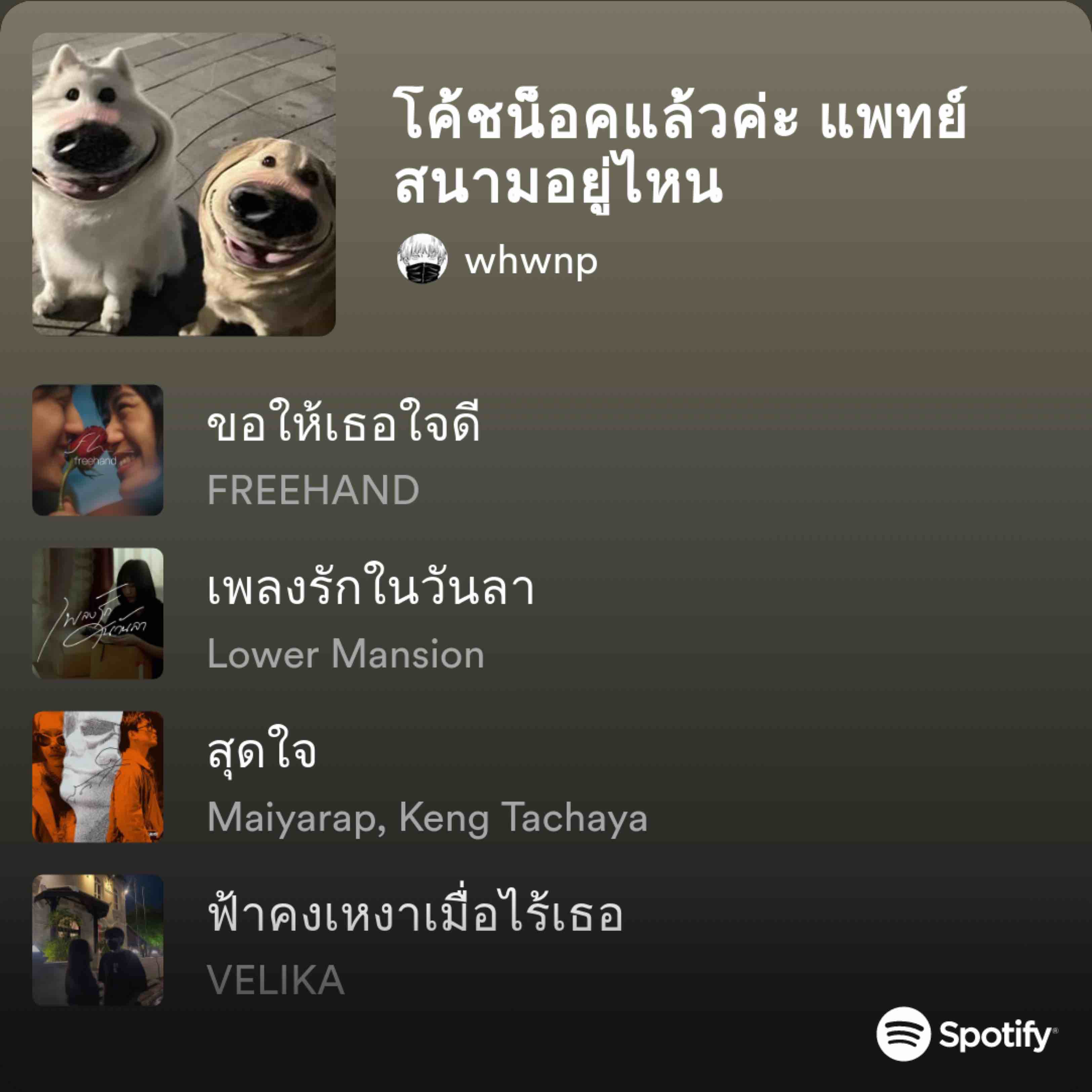 พี่น้องก็ได้เดี๋ยวเธอหายไป - playlist by whwnp | Spotify