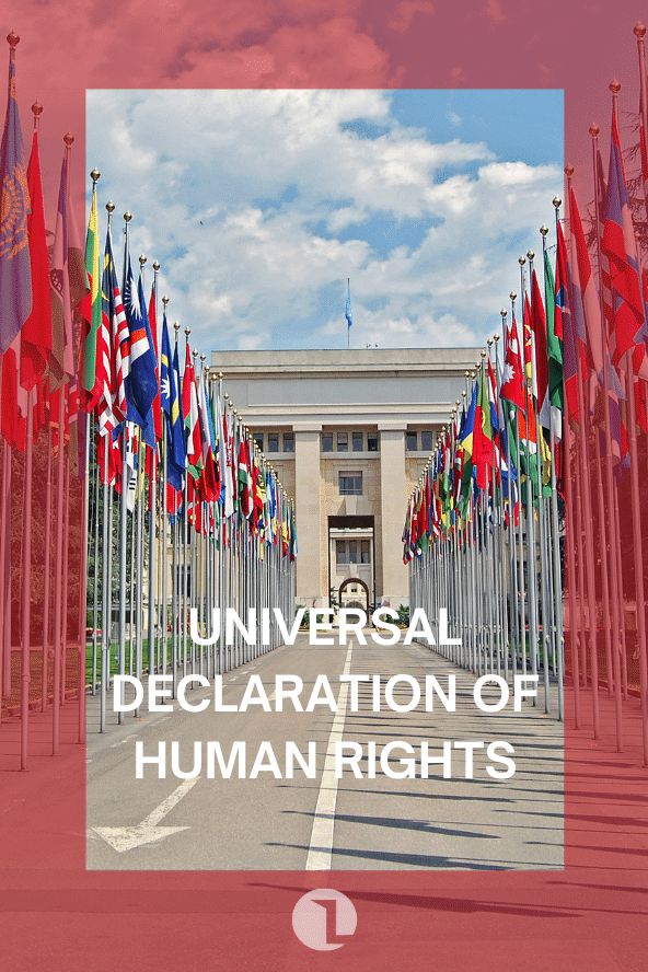 Universal Declaration of Human Rights | Summary